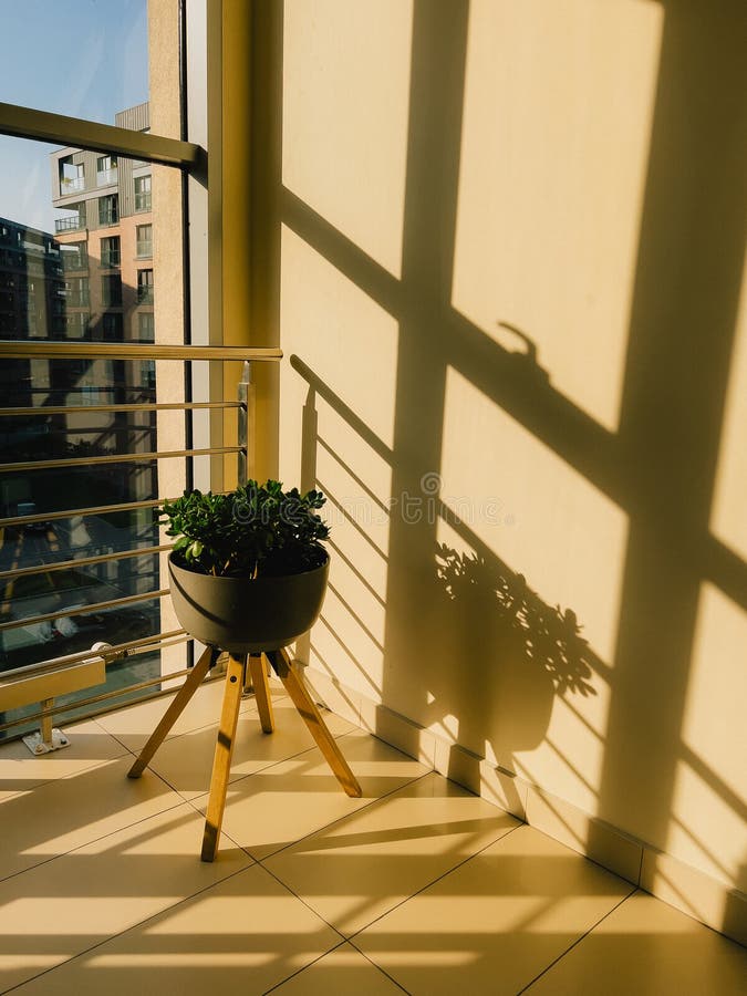 Sunlight Streaming through Balcony Window Creates Strong Shadows of ...