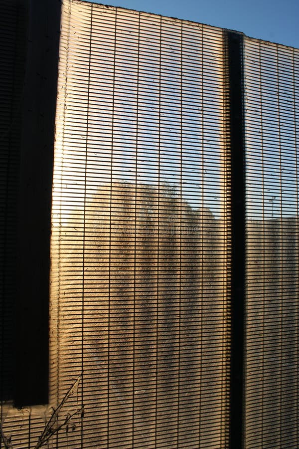 Sunlight Streaming through Metal Fence Covered in Cobwebs Creates ...