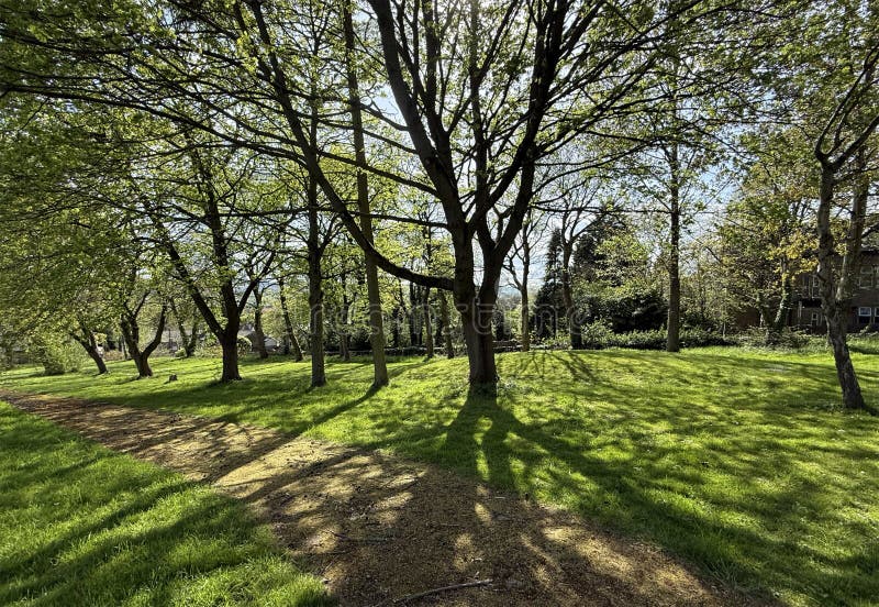 "Woodland Scene Close To, Daisy Hill Lane, Bradford, UK," Stock Photo ...