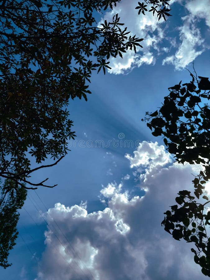 Sun Rays through Clouds, Trees, Nature Stock Photo - Image of sunshine ...