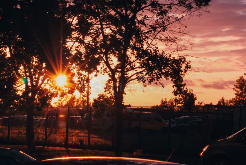 Sunlight and Sunshine, Sun, Sunrays, Lights and Shadows, Evening Lights ...