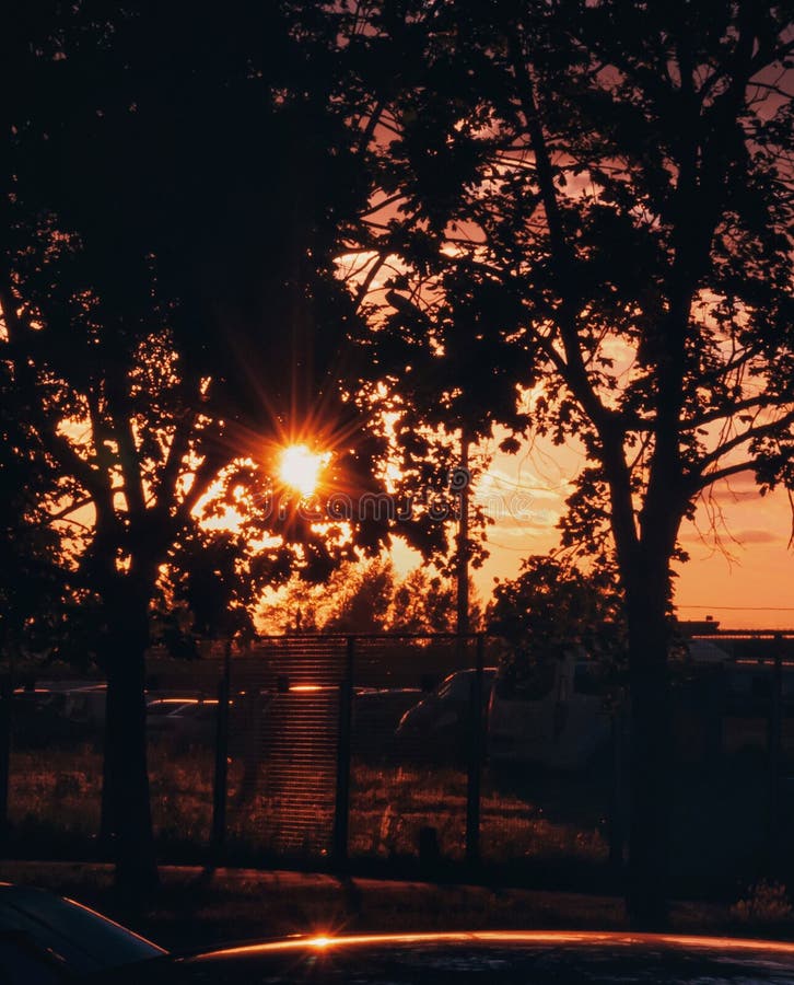 Sunlight and Sunshine, Sun, Sunrays, Lights and Shadows, Evening Lights ...