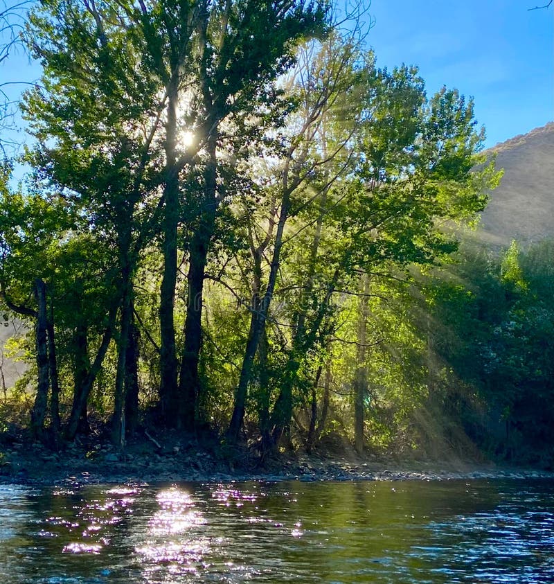 Sunlight through a Tree Next To. River with Mountain and Blue Sky Stock ...