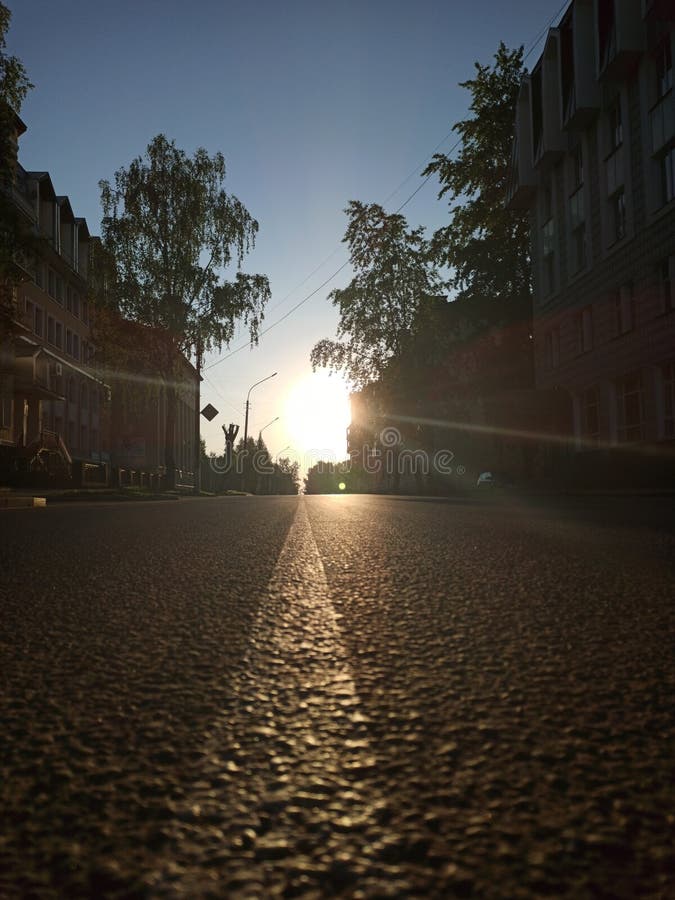 Sunlight trees road stock photo. Image of sunlight, wall - 186017208