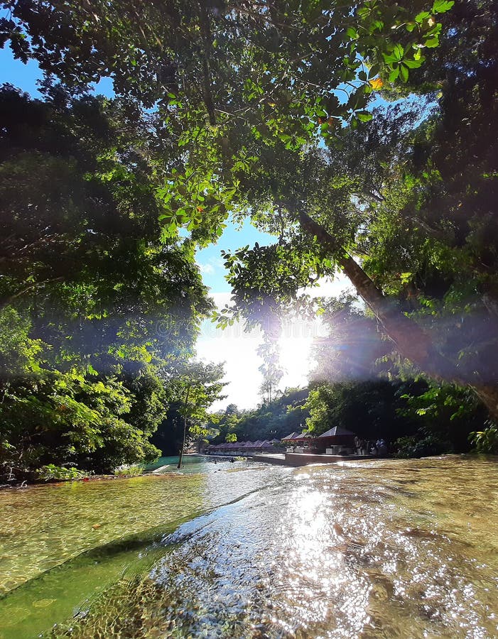 Sunlight between the Trees and the Splash of Water Stock Photo - Image ...
