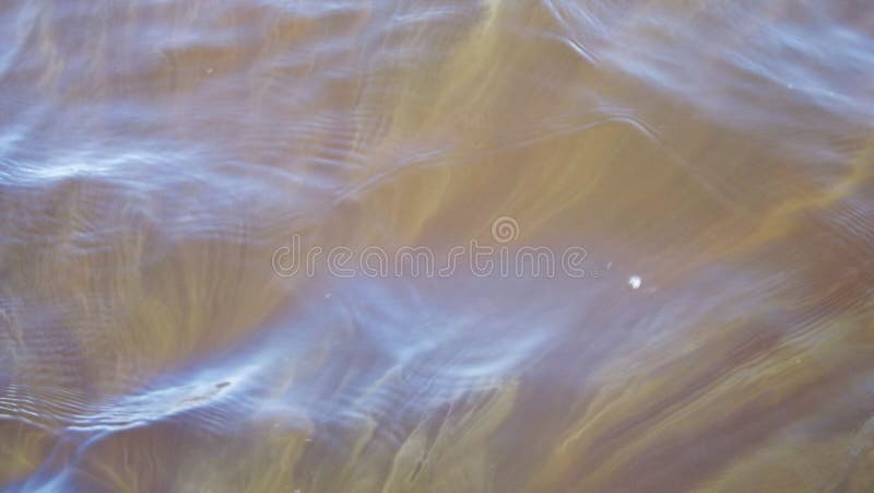 Sunlight in the water. stock photo. Image of color, sunny - 119936682