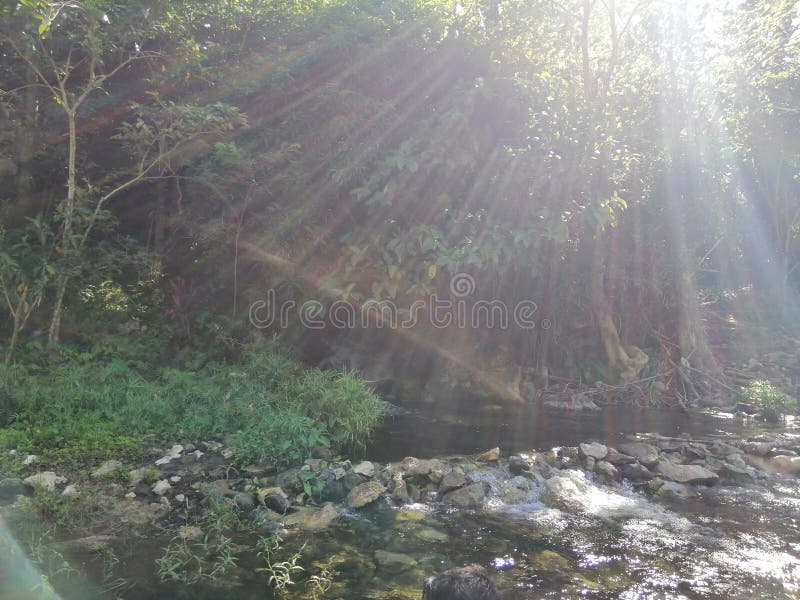 Sunlight in the water stock photo. Image of soft, stream - 128909124