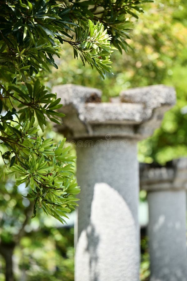 Sunlight on Weathered Stone Pillars at Japanese Shrine Ruins Stock ...
