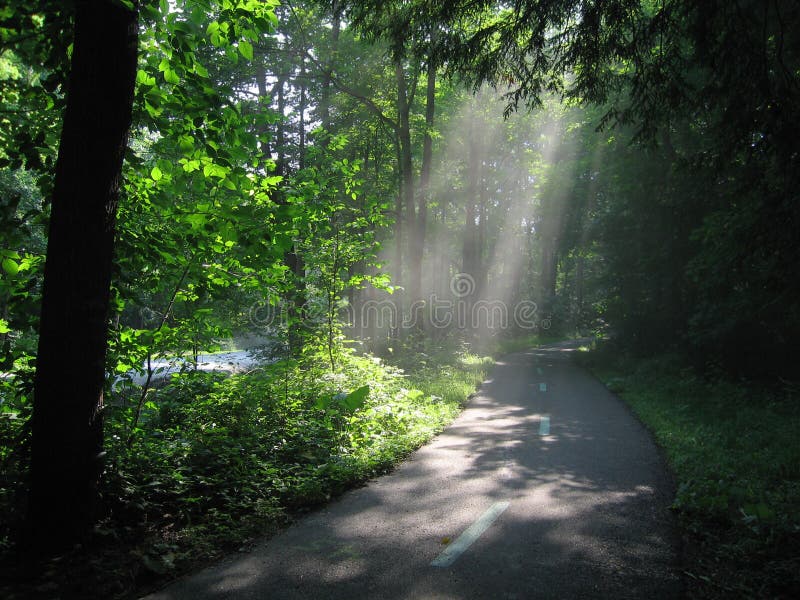 Sunlight through Woods stock photo. Image of ohio, environment - 5475470