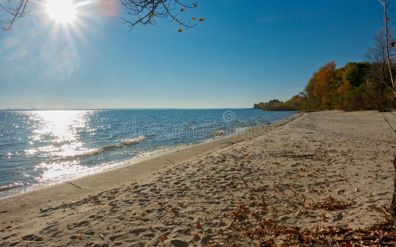 Sunlit Beach at a Lake with Tranquil Water on a Beautiful Fall Day ...