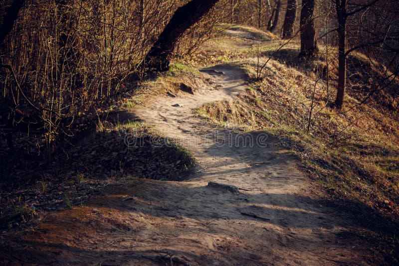 Sunlit Beautiful Winding Path in Nature Stock Image - Image of dark ...