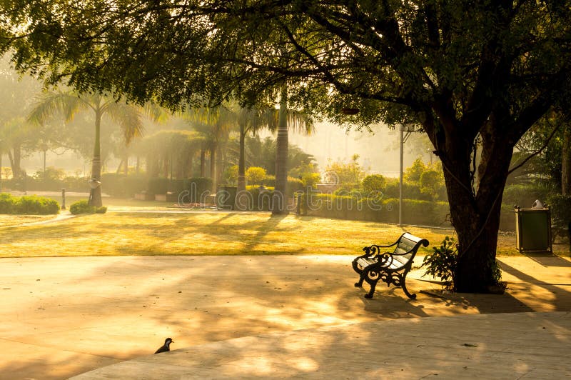Sunlit Bench Early Morning Stock Photos - Free & Royalty-Free Stock ...