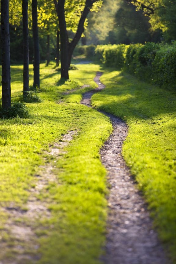 Sunlit and ethereal path stock photo. Image of plant - 23778012