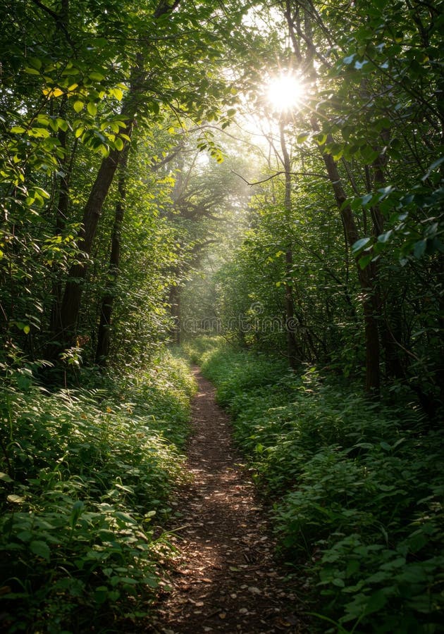 Sunlit Forest Path: a Serene Green Woodland Trail Stock Illustration ...