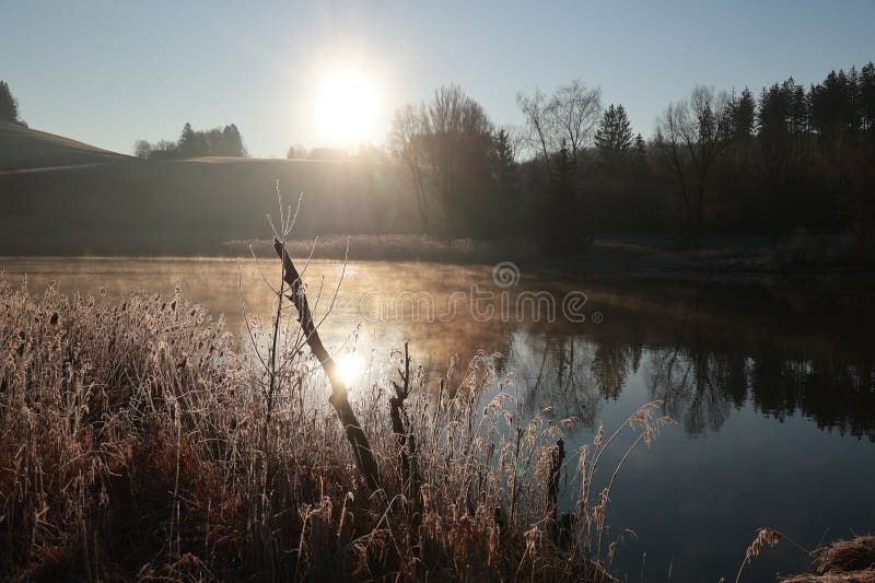 Sunlit Lake with a Tree in the Foreground Stock Image - Image of cold ...