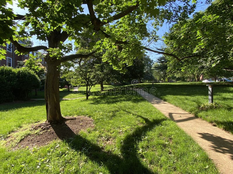 Sunlit Path in the Neighborhood in Spring in May Stock Image - Image of ...