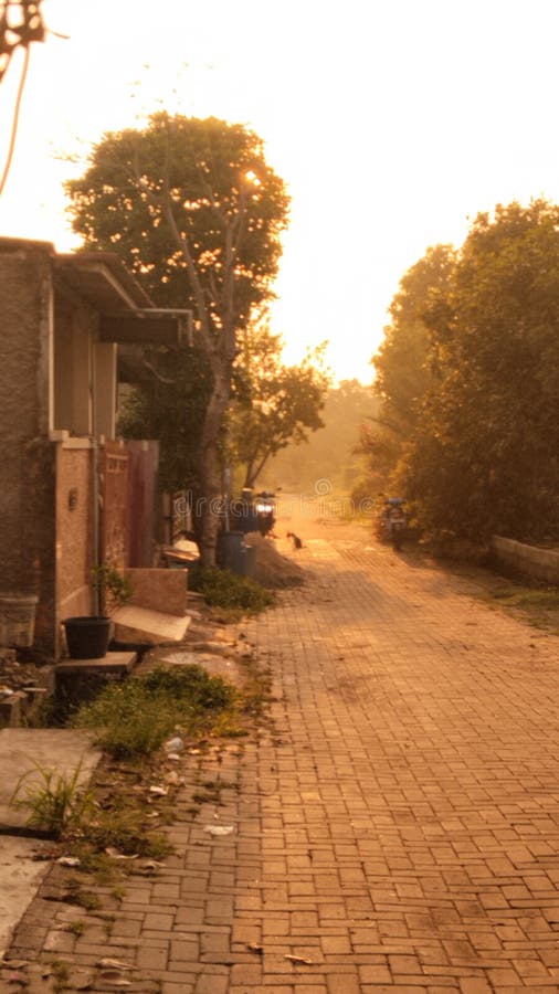 Sunlit Pathway at dusk stock image. Image of sunrise - 344949019