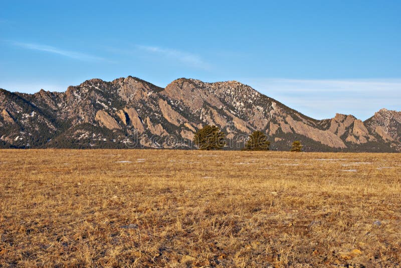 Sunlit Pines on the Horizon and Mountains Stock Photo - Image of grassy ...