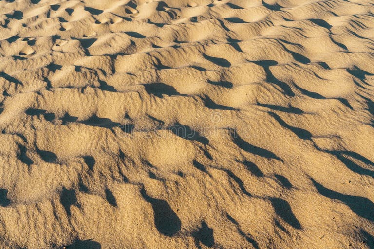 Sunlit Sand Dunes Create Intricate Shadow Patterns on the Beach Stock ...