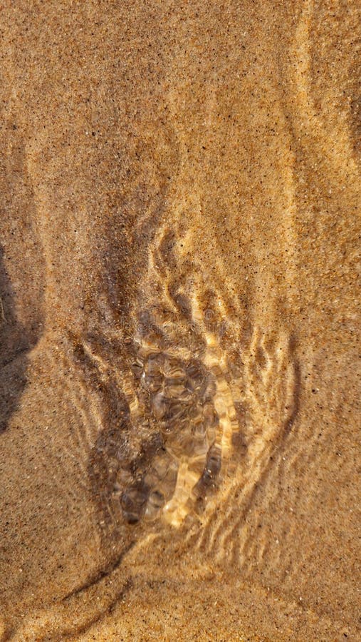 Sunlit Sand Patterns on Beach at Golden Hour Stock Image - Image of ...
