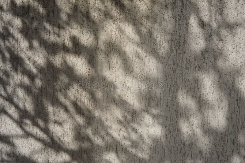 Sunlit Scene Featuring a Cement Surface with Beautiful Shadows Created ...