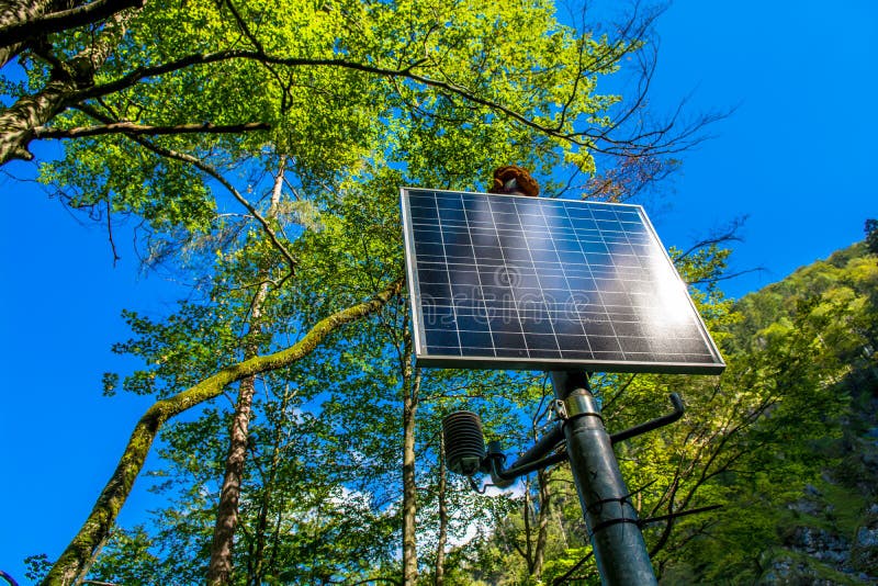 Sunlit Solar Panel in the Forest Stock Image - Image of energy, summer ...