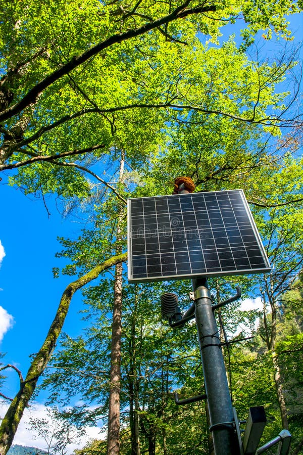 Sunlit Solar Panel in the Forest Stock Image - Image of panel, green ...