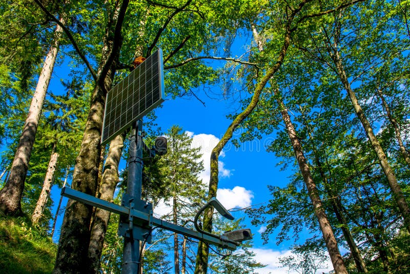 Sunlit Solar Panel in the Forest Stock Photo - Image of environment ...