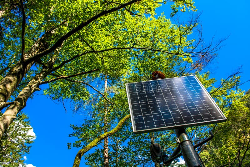 Sunlit Solar Panel in the Forest Stock Photo - Image of environment ...