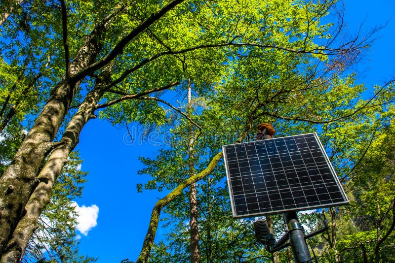 Sunlit Solar Panels Against Sky. Alternative Energy Source Stock Photo ...