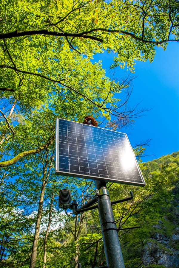 Sunlit Solar Panel in the Forest Stock Image - Image of leaves, panel ...