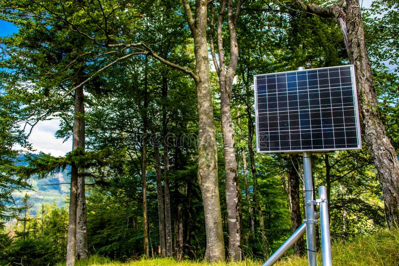 Sunlit Solar Panel in the Forest Stock Image - Image of panel, green ...