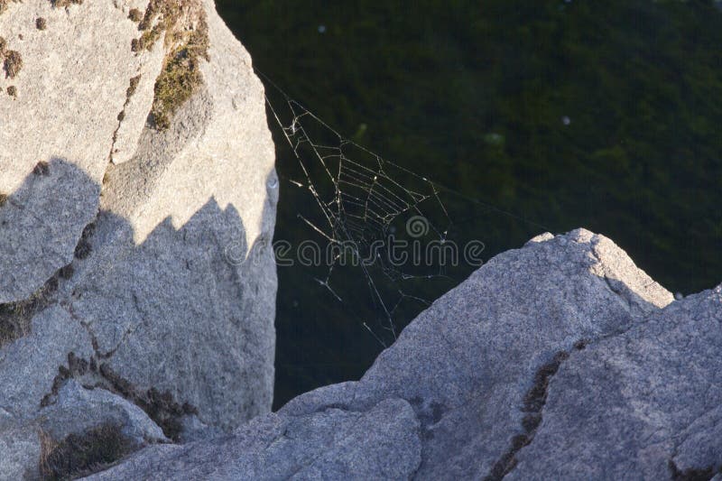 Spider Webs between the Rocks on the Cliff Stock Image - Image of ...