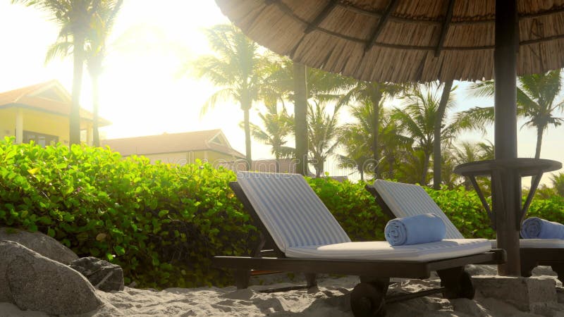 Sunlit Tropical Beach Scene with Palm Trees and Lounge Chair Shadows ...