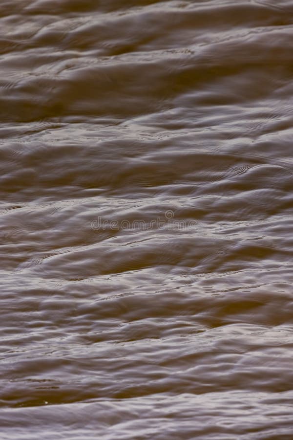 Sunlit Waves on the River in Windy Weather Stock Image - Image of ...