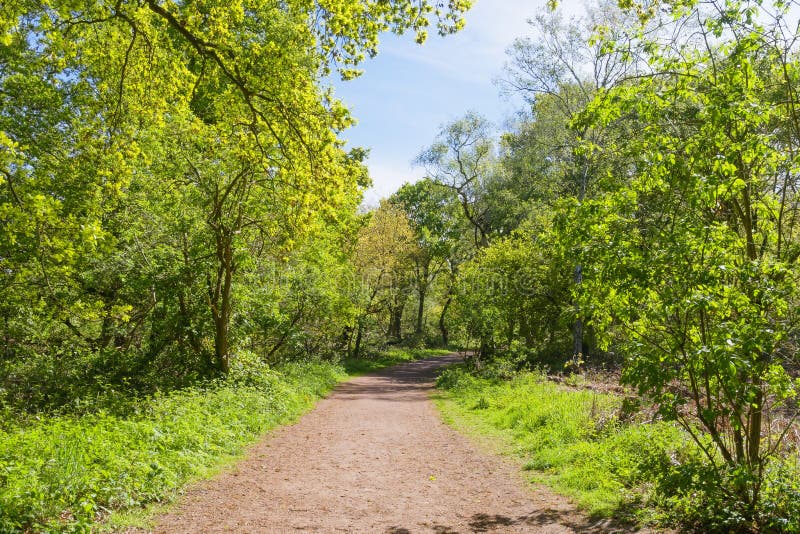 Wide Path Leads Past the Eagle Stone Gritstone Outcrop Stock Photo ...