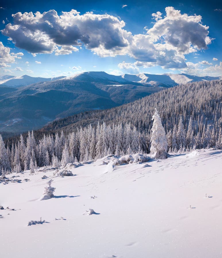 Sunne Morning Scene in Winter Mountain. Stock Photo - Image of hoar ...