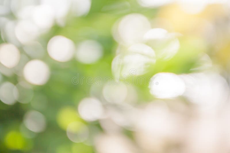 Sunny Abstract Green Nature Stock Photo - Image of beautiful, light ...