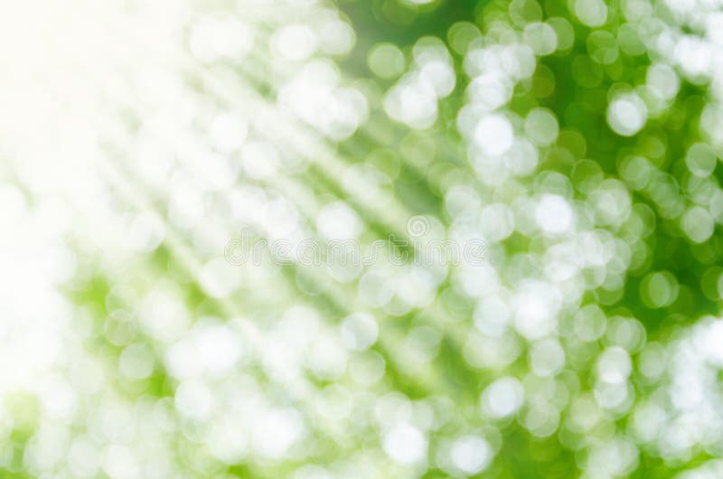 Sunny Abstract Green Nature Background. Stock Image - Image of color ...