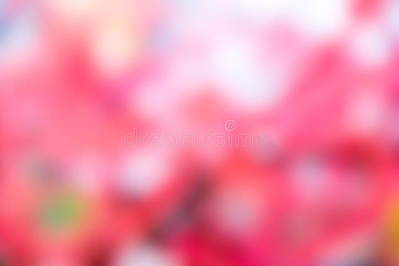 Sunny Abstract Red Nature Background Stock Photo - Image of color, blur ...