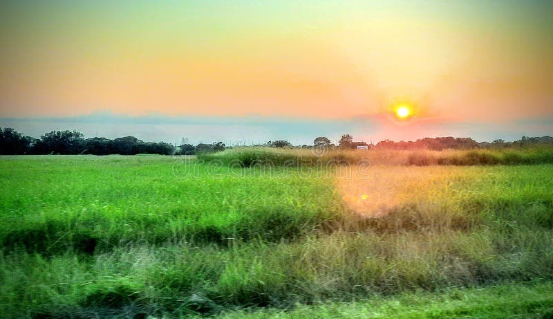 Sunny Acres Farm stock photo. Image of morning, meadow - 227610024