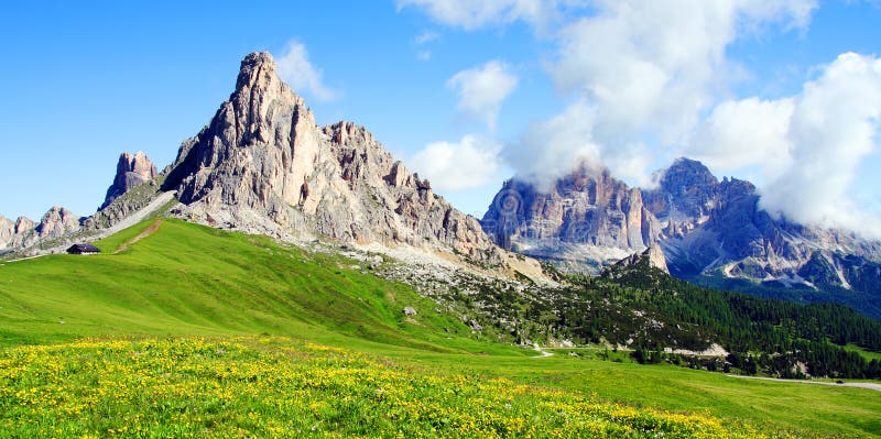 Sunny alpine valley stock image. Image of peak, floral - 7968507