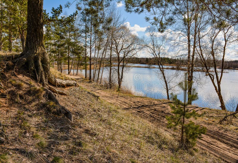 Sunny April day stock image. Image of glare, season, reeds - 91562721