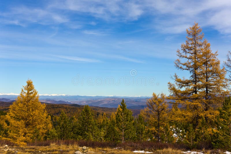 Sunny autumn stock image. Image of russia, range, autumn - 15559505