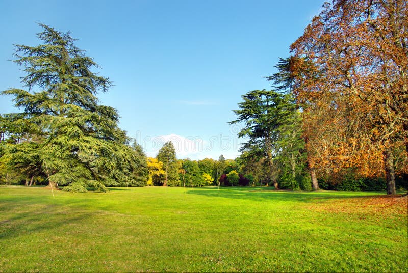 Sunny autumn stock image. Image of october, outdoors, foliage - 6579369