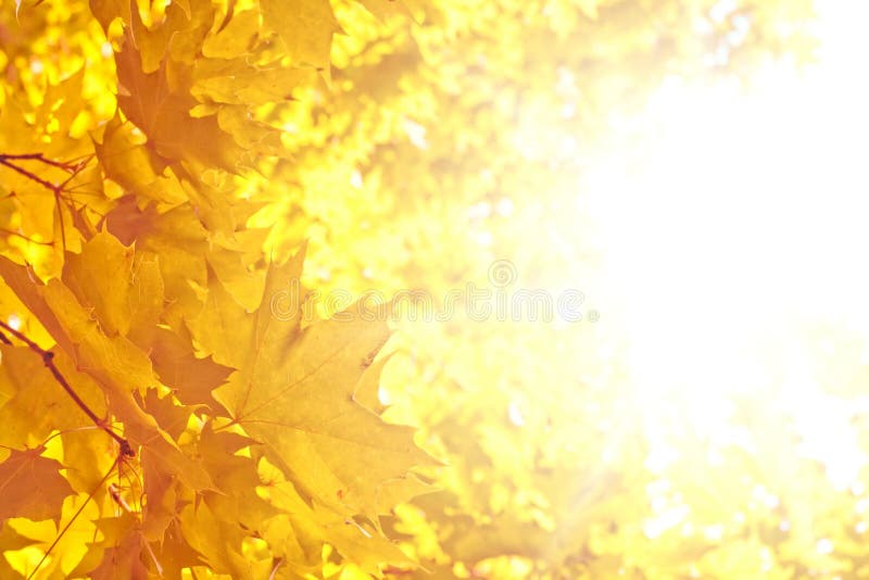 Sunny Autumn Day Royalty Free Stock Photography - Image: 14907067