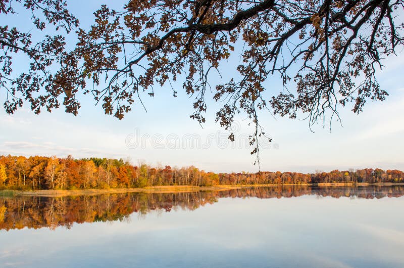 Sunny Autumn day stock photo. Image of lake, colors, nature - 82014324