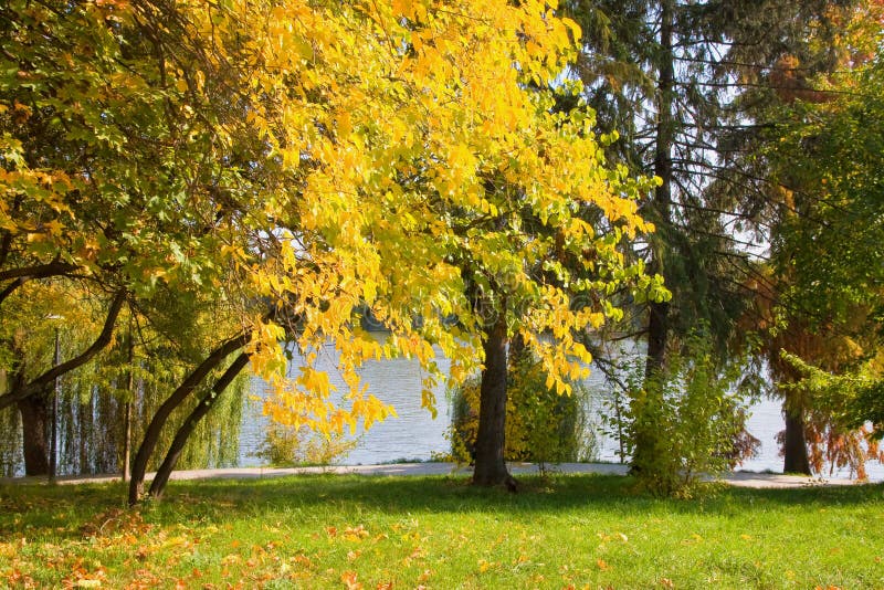 Sunny Autumn Day in the Park Stock Photo - Image of natural, landscape ...