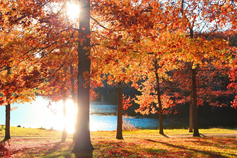 Sunny autumn day stock image. Image of horizontal, october - 59616039