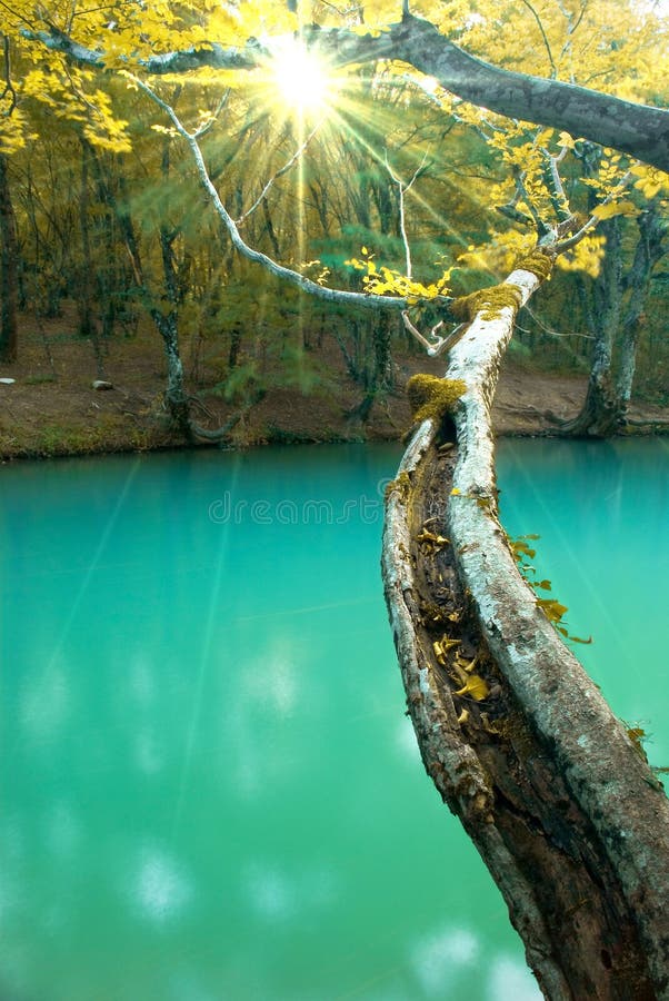 Sunny autumn landscape stock image. Image of blue, beautiful - 12201187